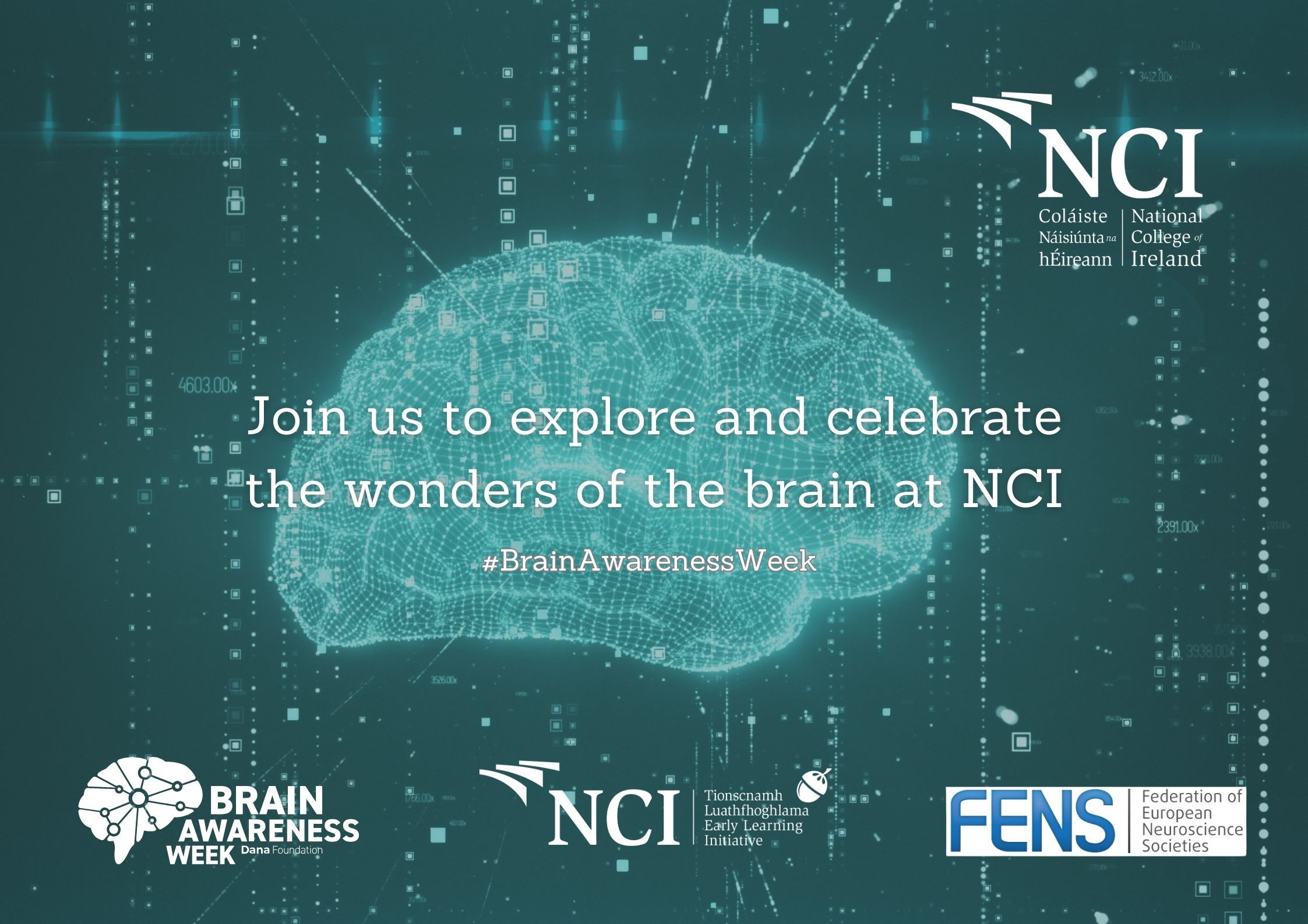 Join us to explore and celebrate the wonders of the brain: Brain ...